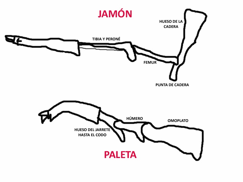 Jamón ibérico de Salamanca: ¿JAMÓN O PALETA?