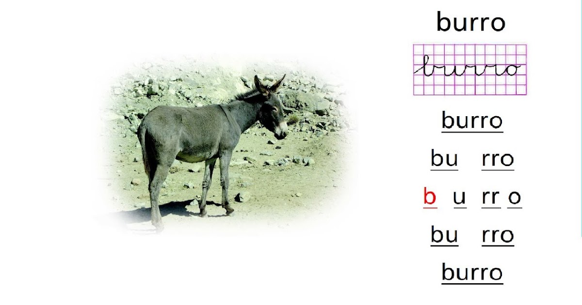 Primeros básicos Colegio Monte Carmelo: SEGUNDO DÍA LECCIÓN BURRO