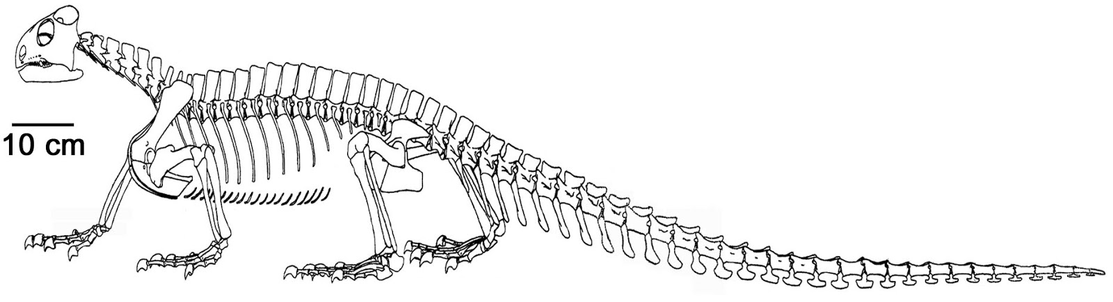Waxing Paleontological: Very Specific Strange Reptiles