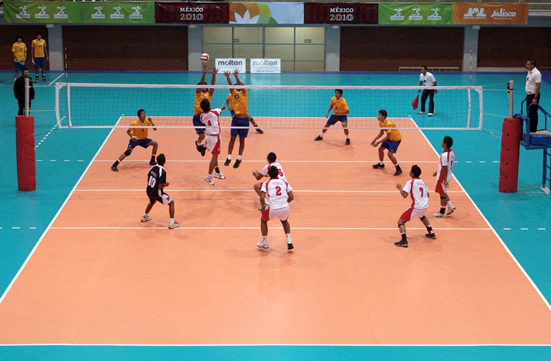 COMITÉ DE DEPORTES CANAPRO 2016: Voleibol Fem. Masc.