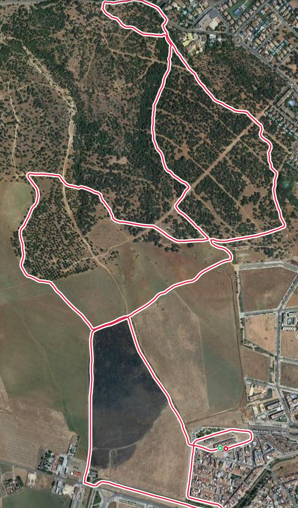 XXXV Cross San Rafael de la Albaida: Circuito