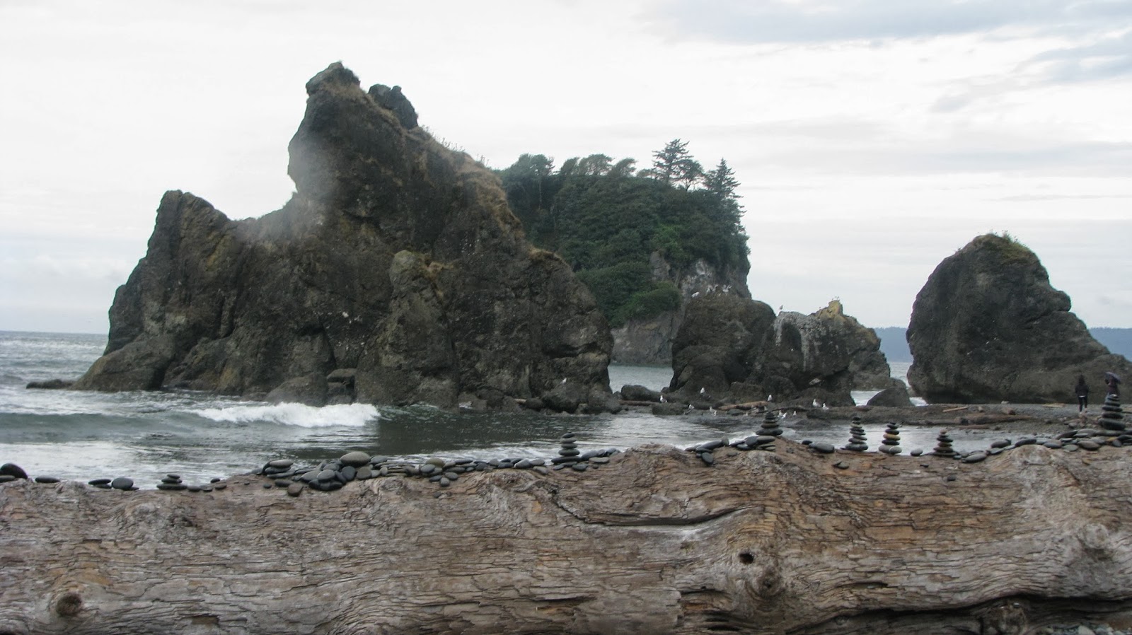 September 5-11, 2013 – Copalis Beach, WA