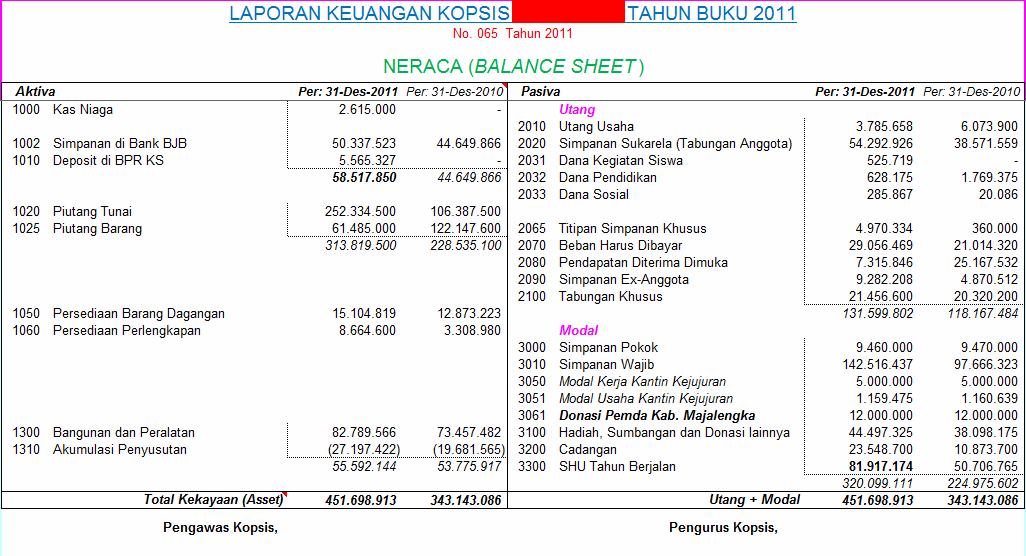 Big Action Laporan Keuangan Koperasi