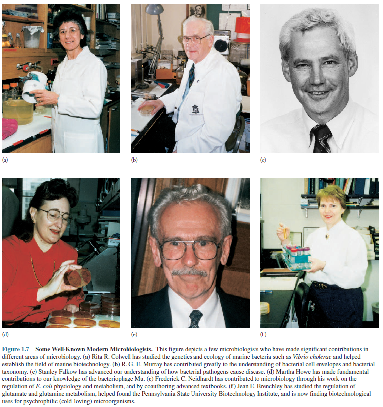 Microbiology Notes: The History and Scope of Microbiology