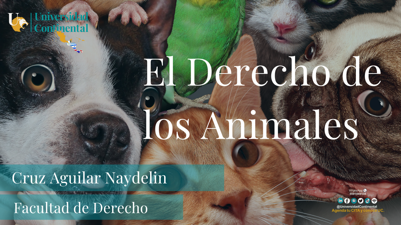 Universidad Continental de México: El Derecho de los Animales