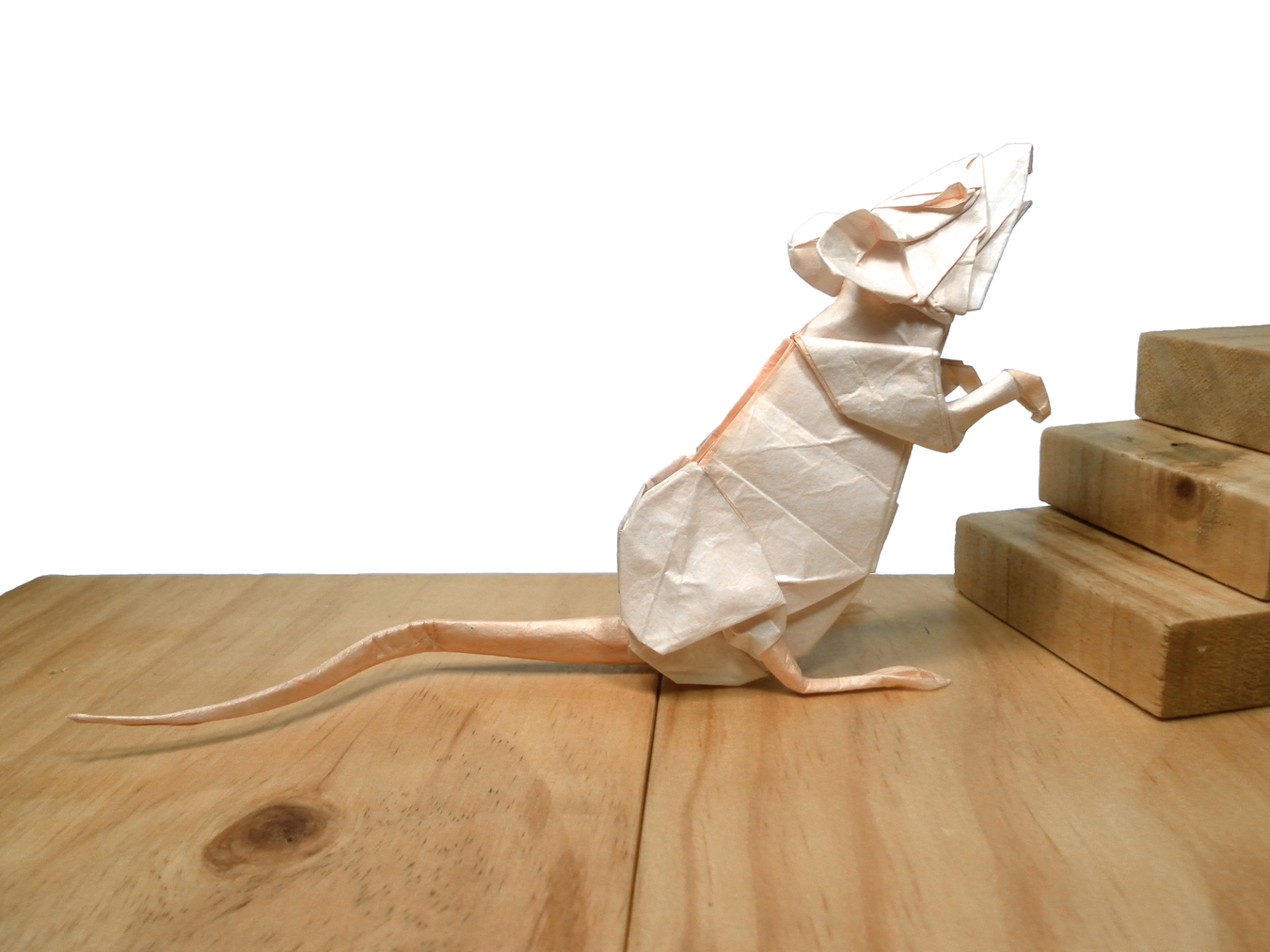 Mariano-Mi mundo el Origami: Ratatouille and friends