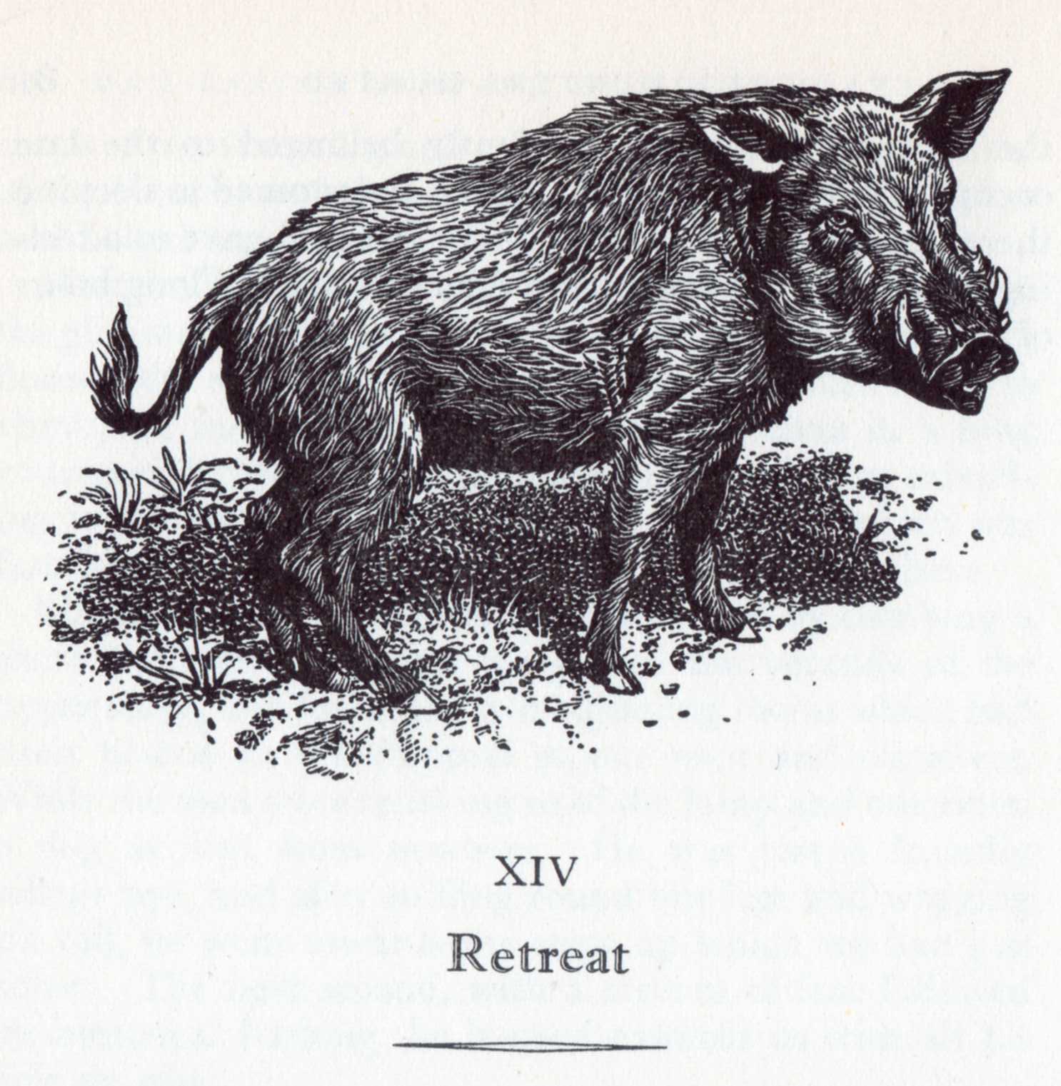 Raymond Sheppard and The Man-Eating leopard of Rudraprayag by Jim ...