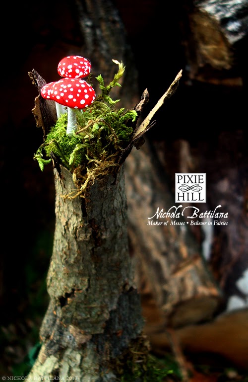 Pixie Hill: Zero sleeps and another house