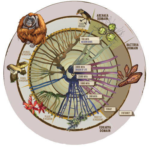 Ciencia Mundo: Las 10 cosas que todo el mundo debería saber sobre ciencia
