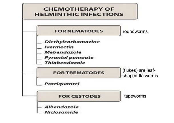 Anthelmintics Drugs | B.Pharmacy 3rd year 2nd Sem | Medicinal Chemistry ...