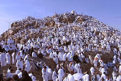 Menjadi Tetamu Allah-Umrah : WUKUF DI ARAFAH