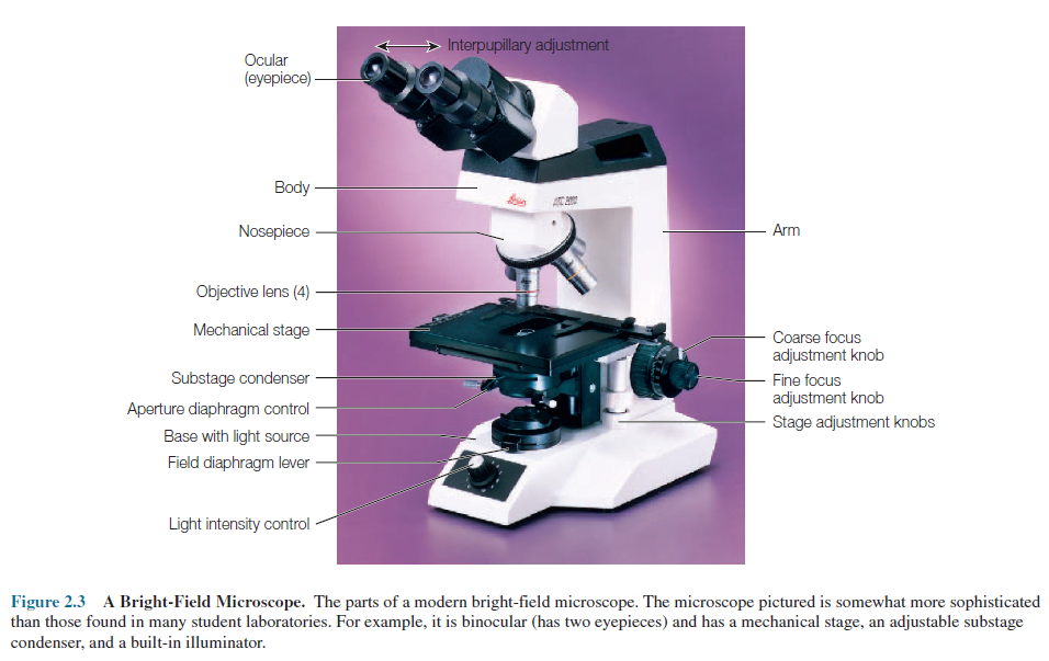 Microbiology Notes: The Study of Microbial Structure : Microscopy and ...