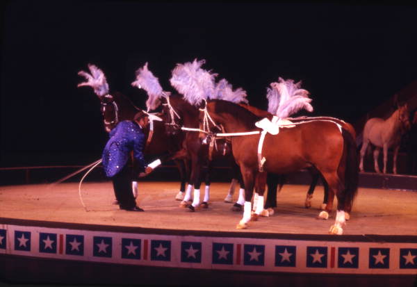 The Circus "NO SPIN ZONE": 02/11/12