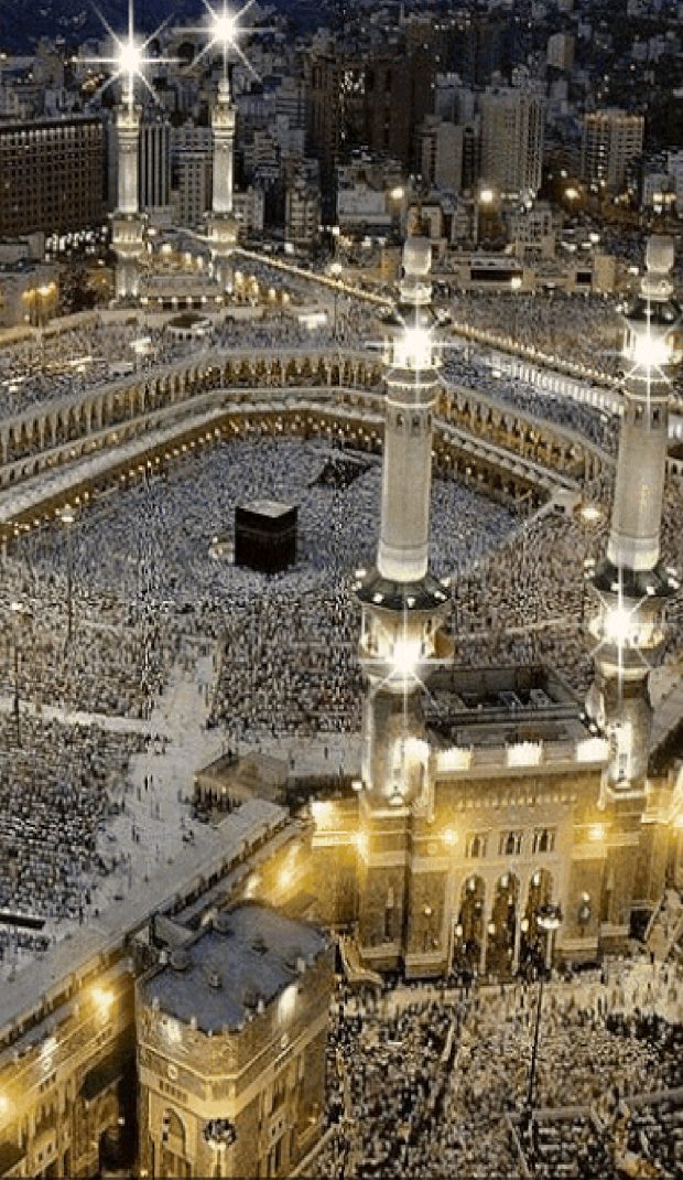 Macca Wallpaper HD - Wallpaper Box