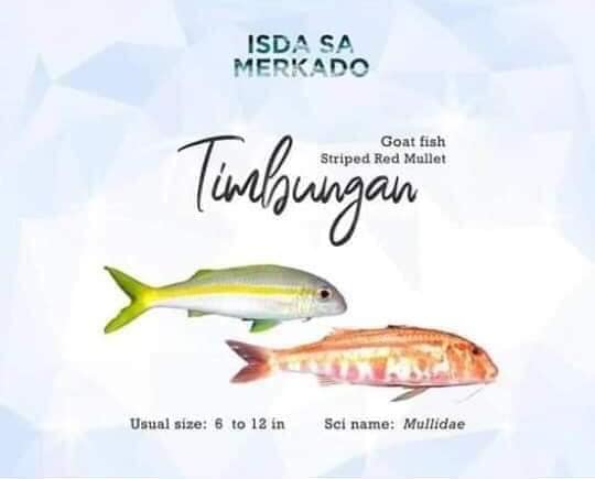 Ibat-Ibang Klase ng Isda at Iba Pang Laman-Tubig na Karaniwang Mabibili sa Palengke sa Pilipinas ...