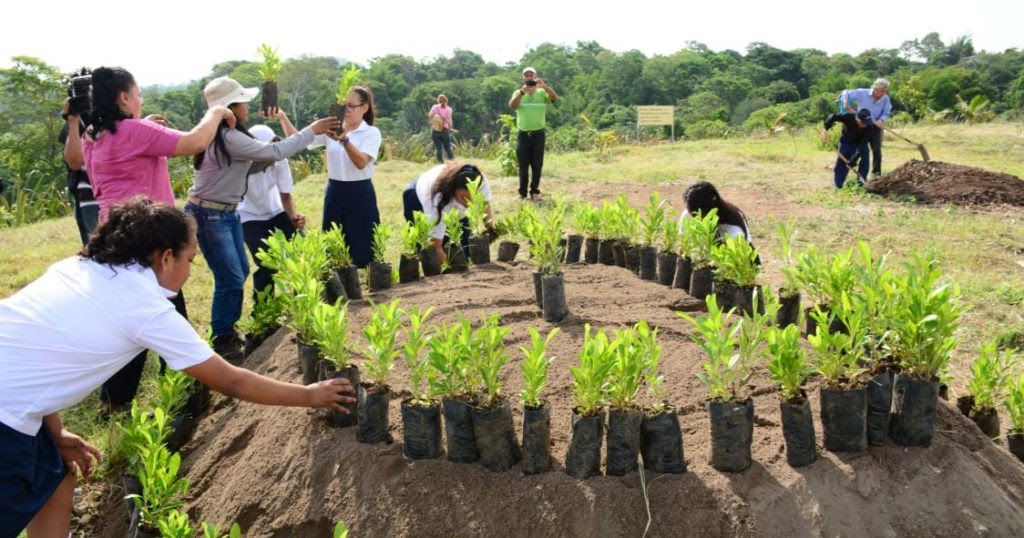 PLANTATON: Participación y Restauración Ambiental