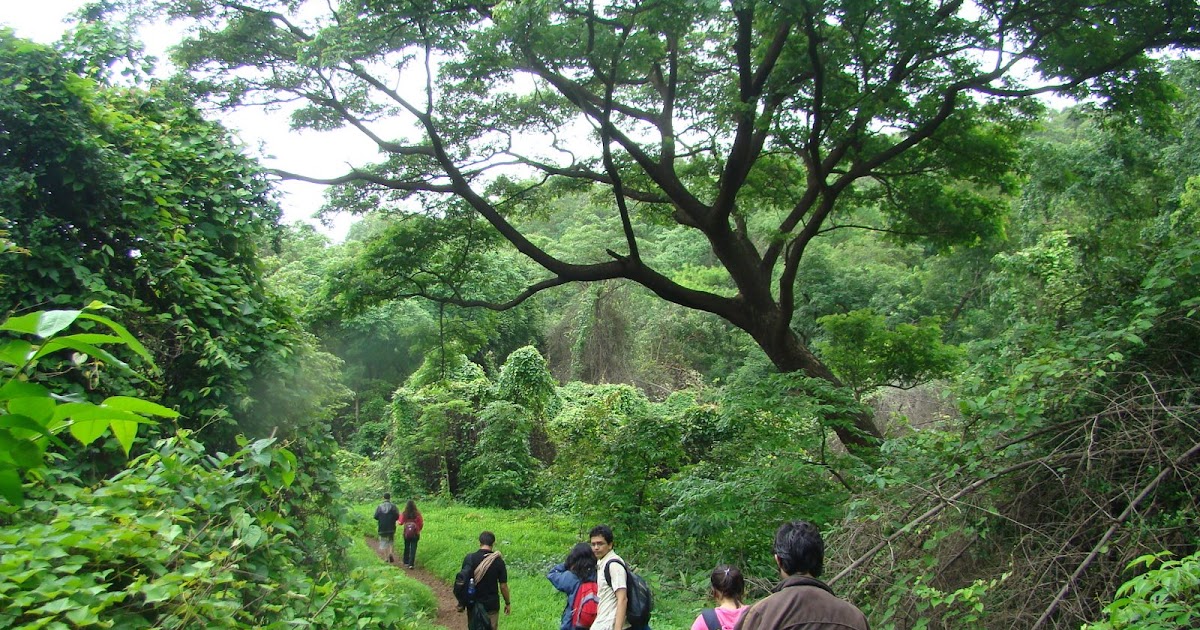 Nature Knights: SGNP