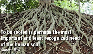 Joanie Brooks...Step Into Your Greatness!: Rooted in body, mind, spirit ...