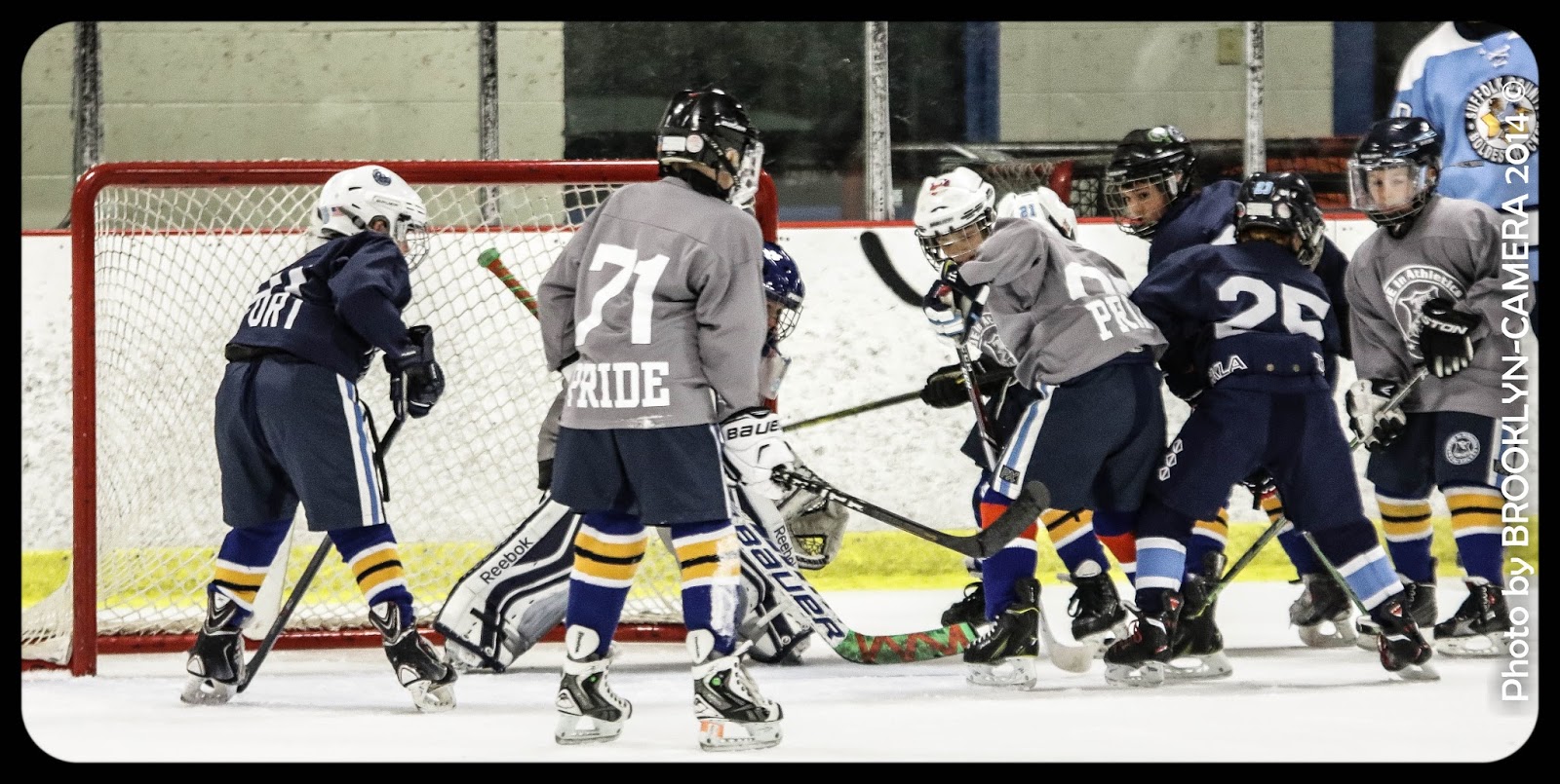 BROOKLYN-CAMERA 2014: LITTLE GUYS AT THE WASP Vs. BOLDEST HOCKEY GAME ...