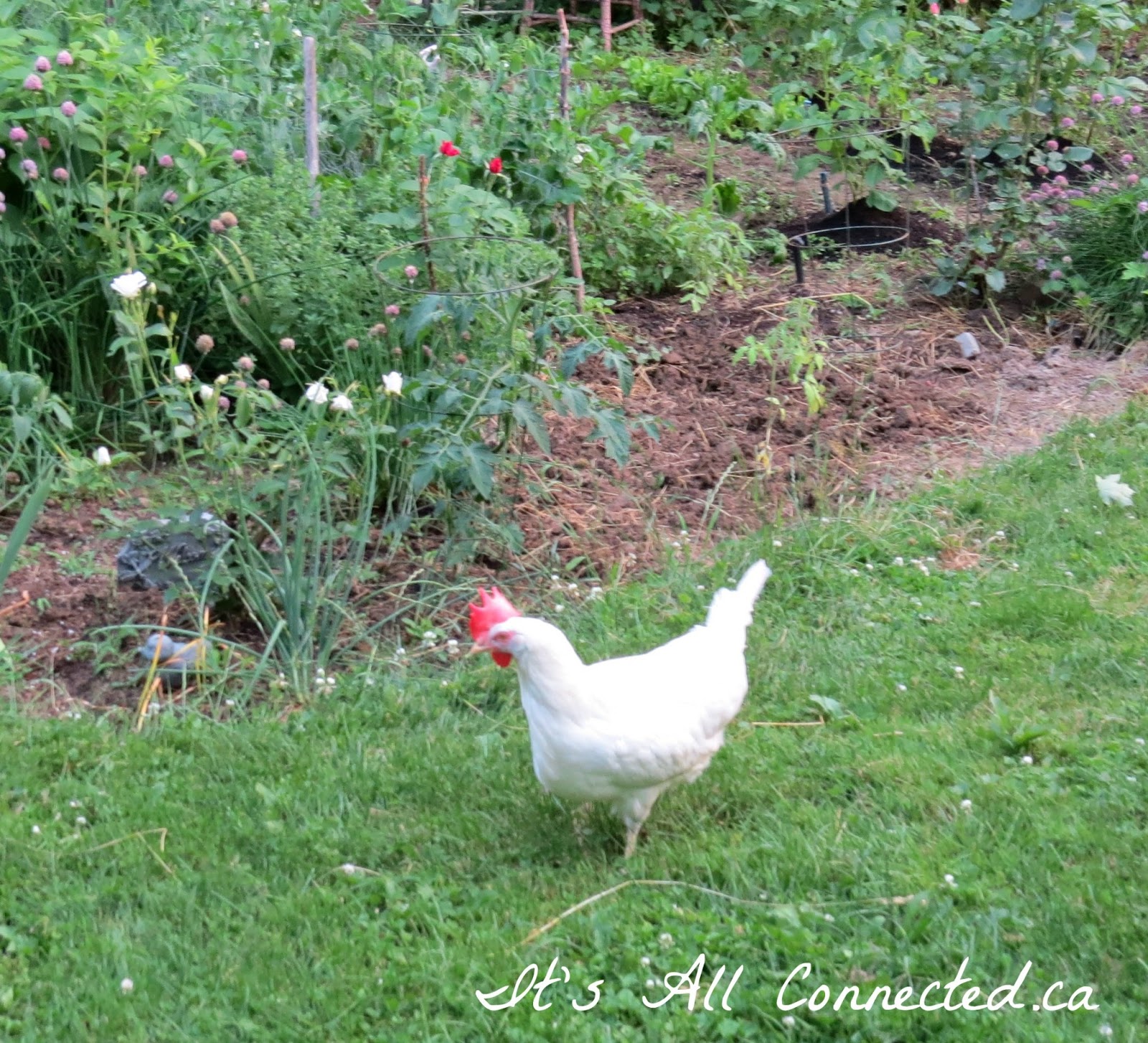 It's All Connected: Oh, Won't You Stay?