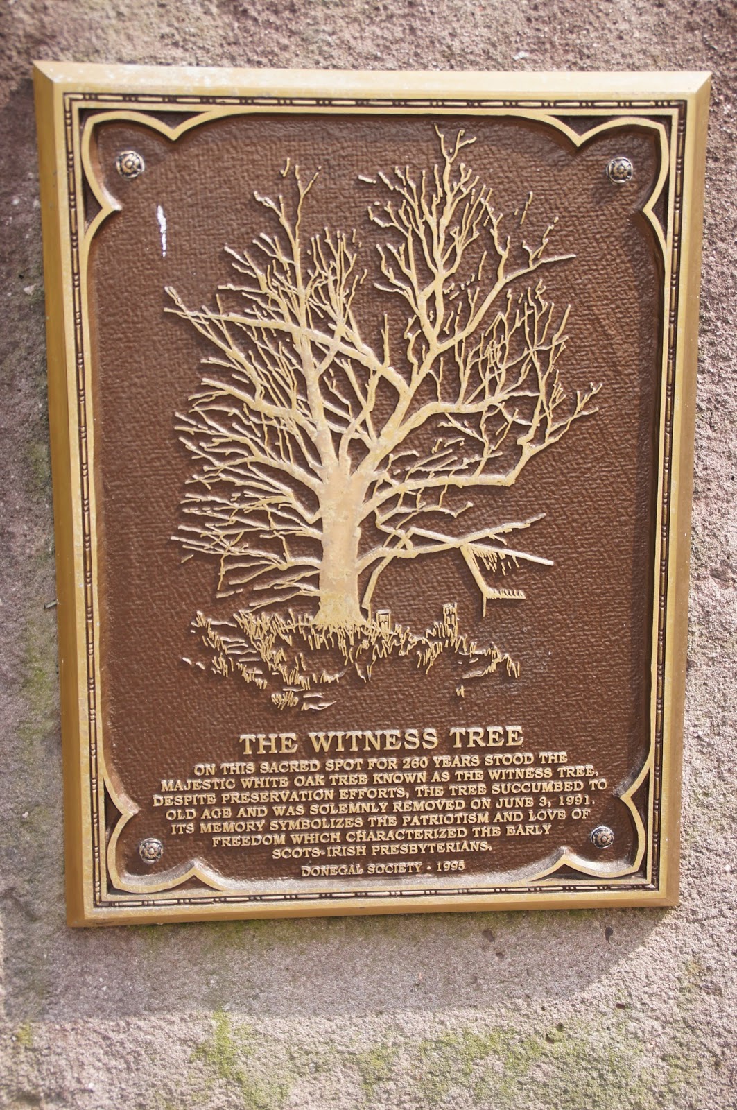 Extraordinary Stories From An Ordinary Guy: The "Gathering Round 'The ...