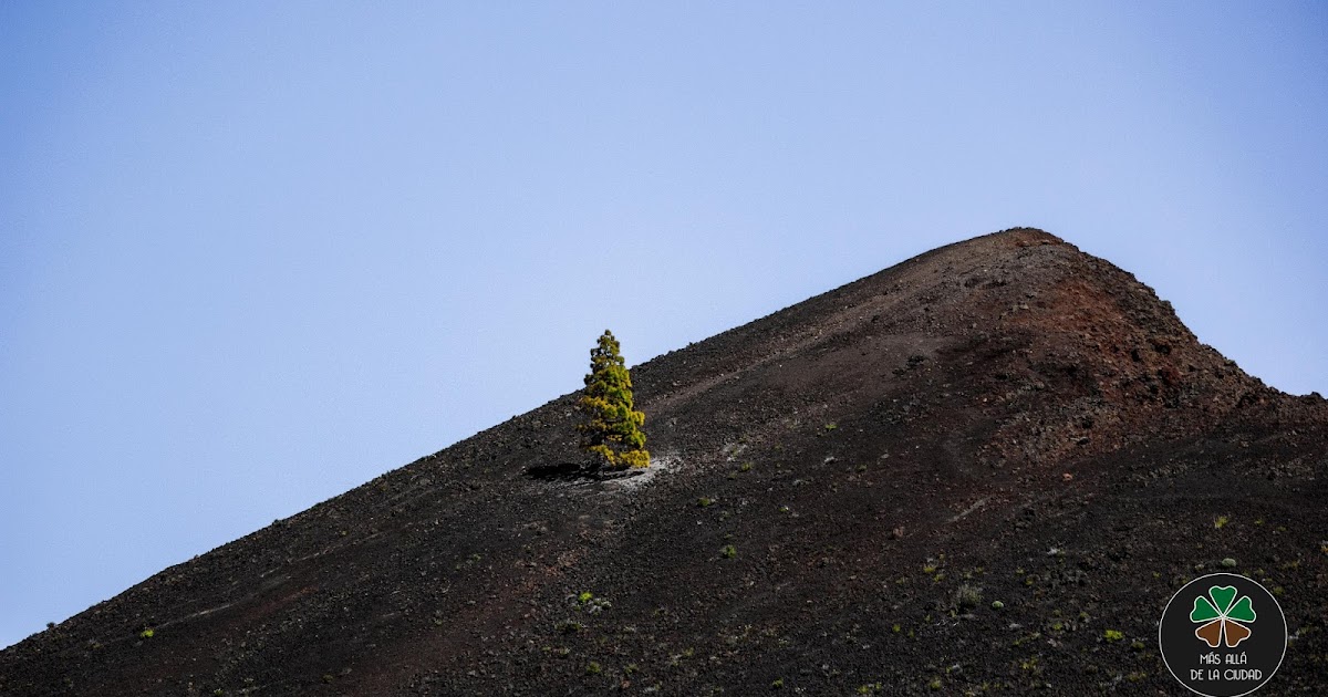 Ruta por el Volcán Chinyero (Tenerife)