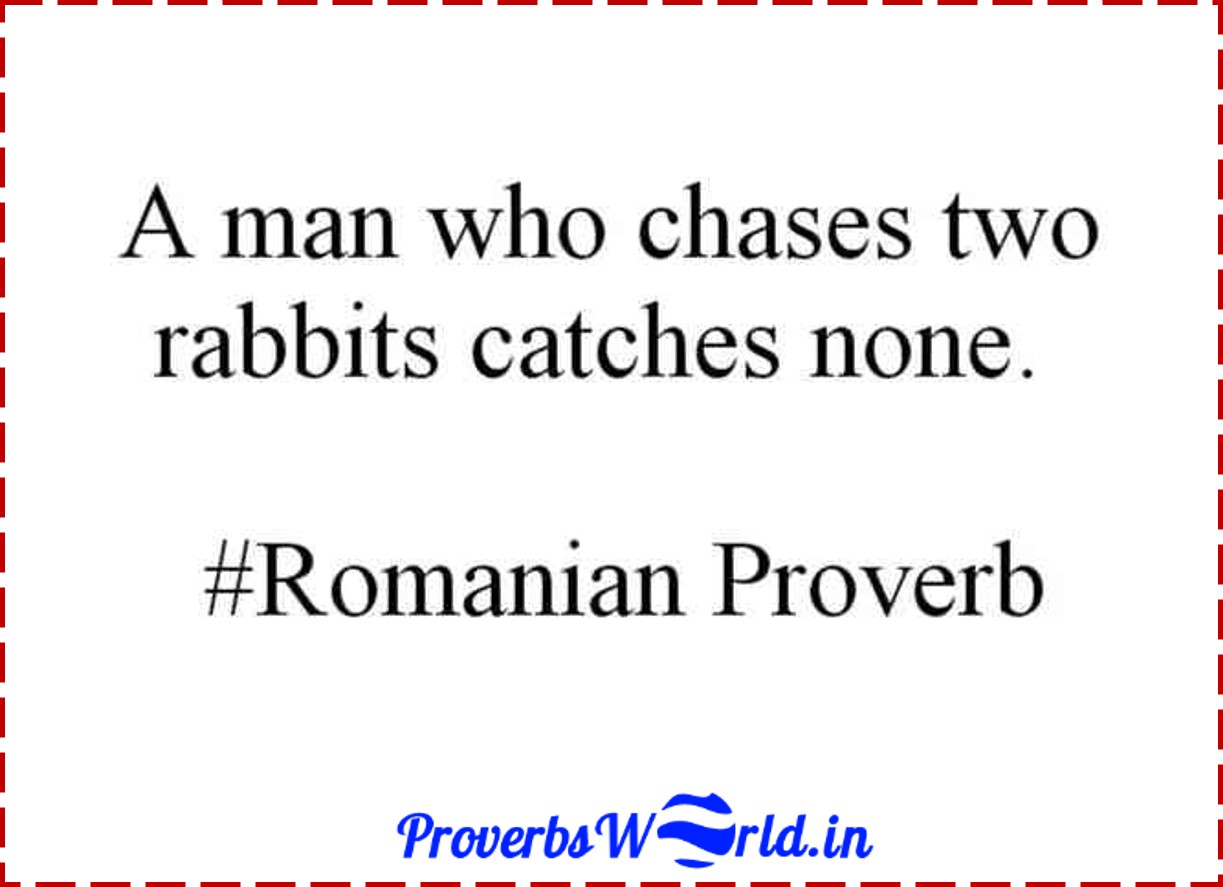 A man who chases two rabbits catches none