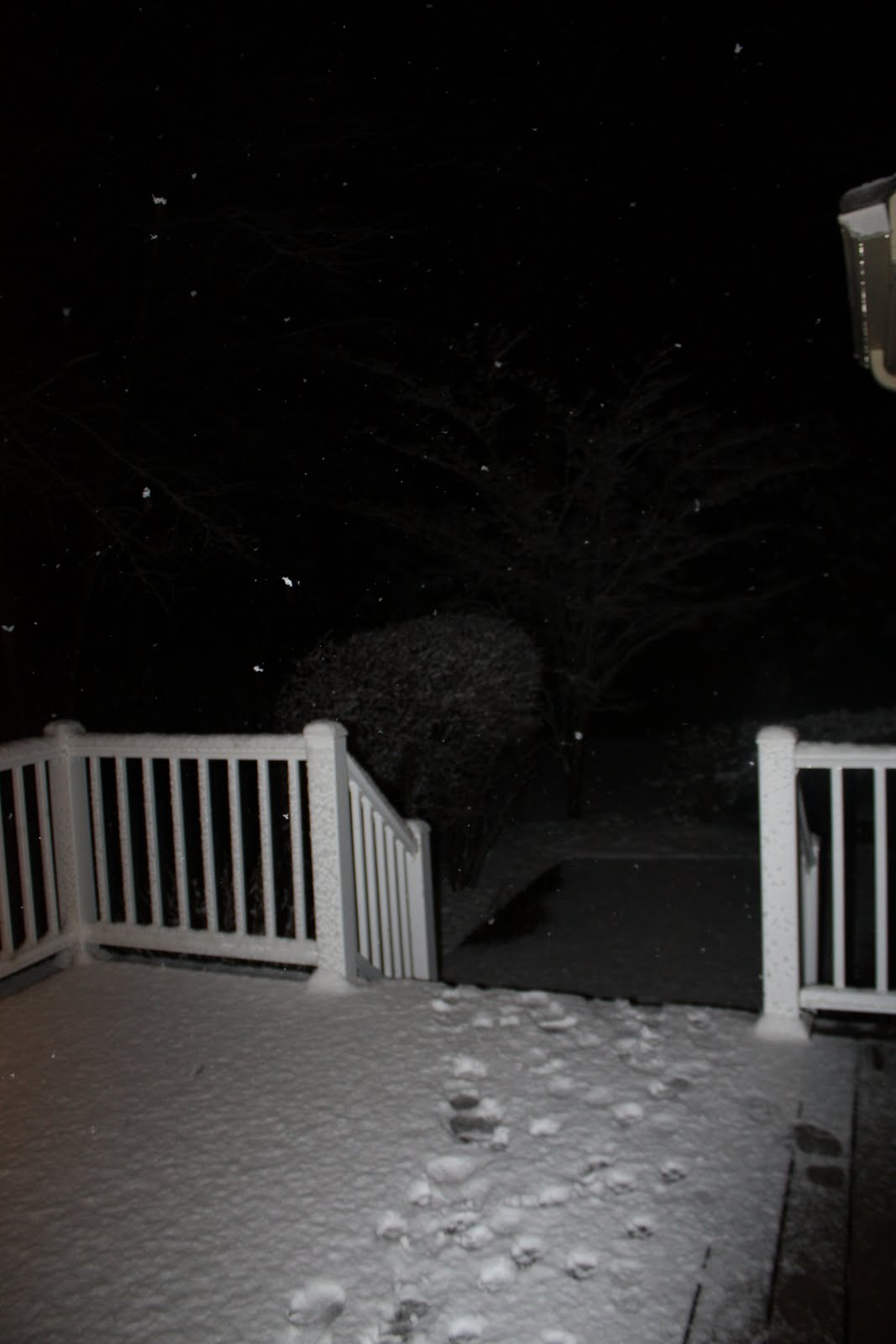 Superheroes and Princesses: It's Spring, it's Spring! April Fools