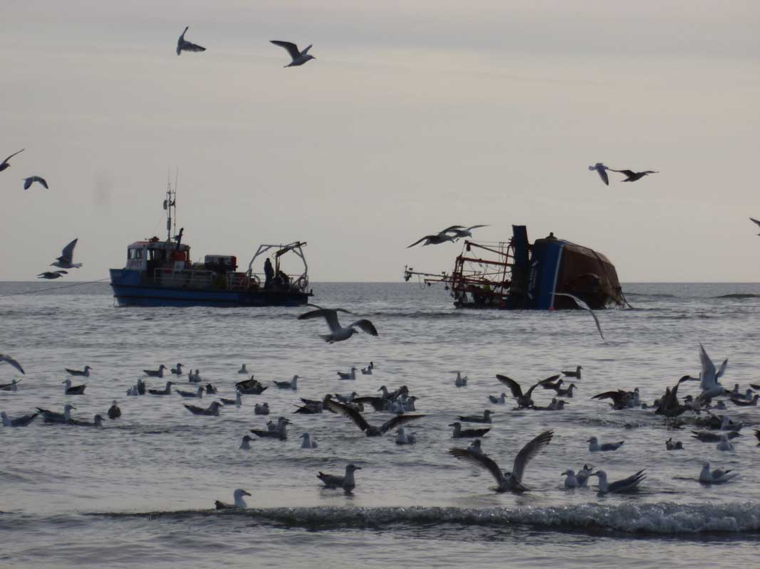Soggibottom: High Tide and The Girl Rona.