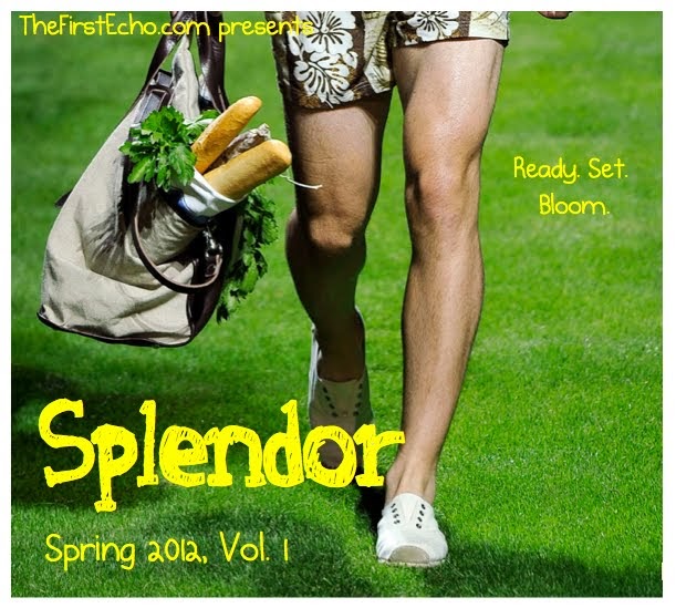 SPLENDOR : THE 2012 SPRING PLAYLIST, Vol. 1