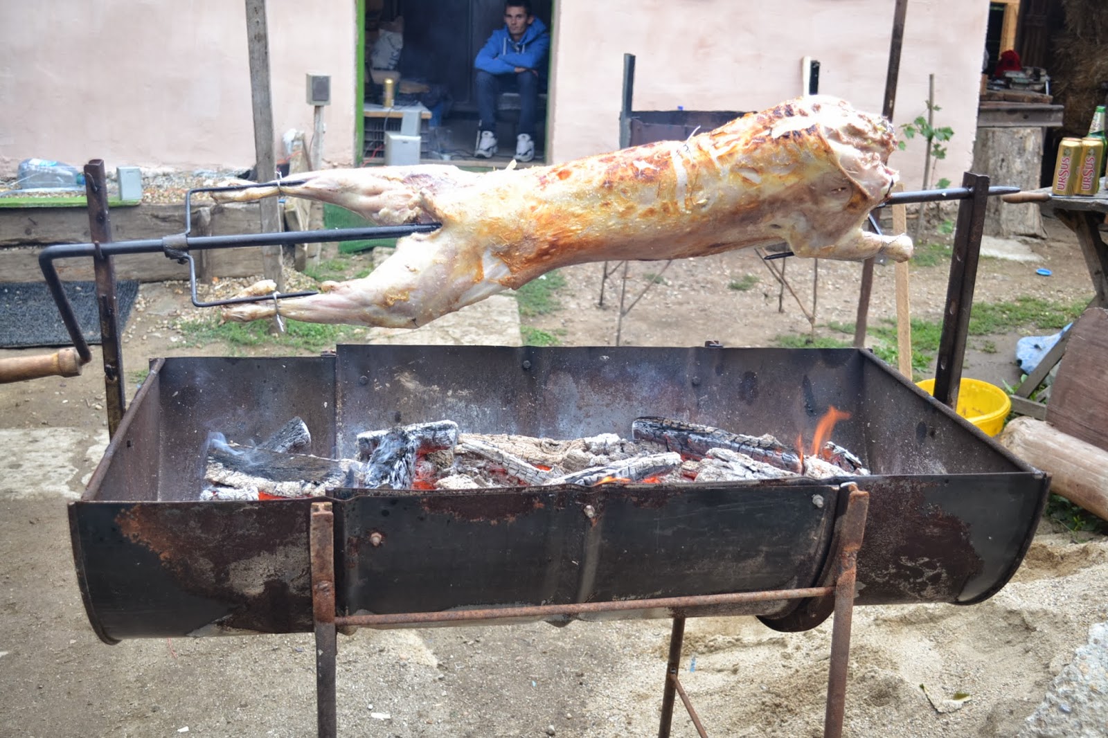 Myra's kitchen: Miel la protap 2013