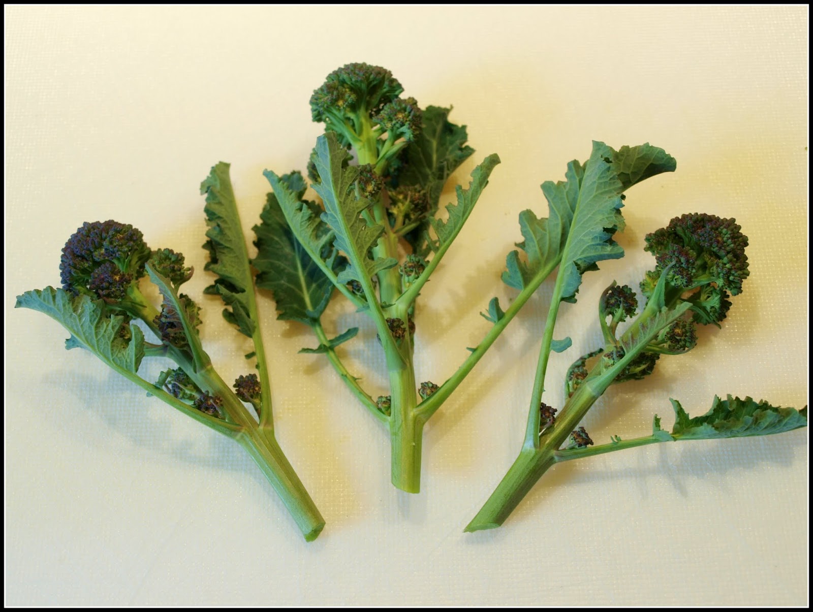 Mark's Veg Plot: Harvesting Purple Sprouting Broccoli