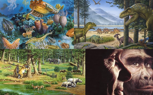 Ciencias Naturales CEUJA 2016: HISTORIA DE LA TIERRA