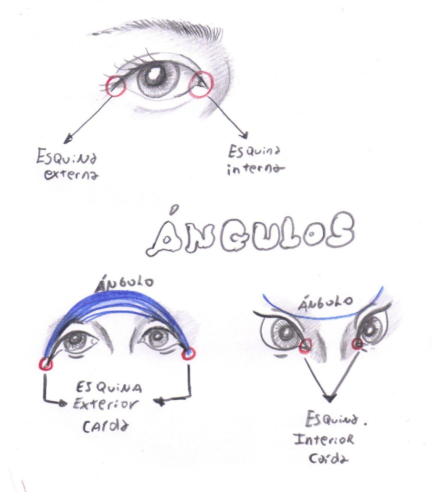 Capitán Dibujo: PARTE 3