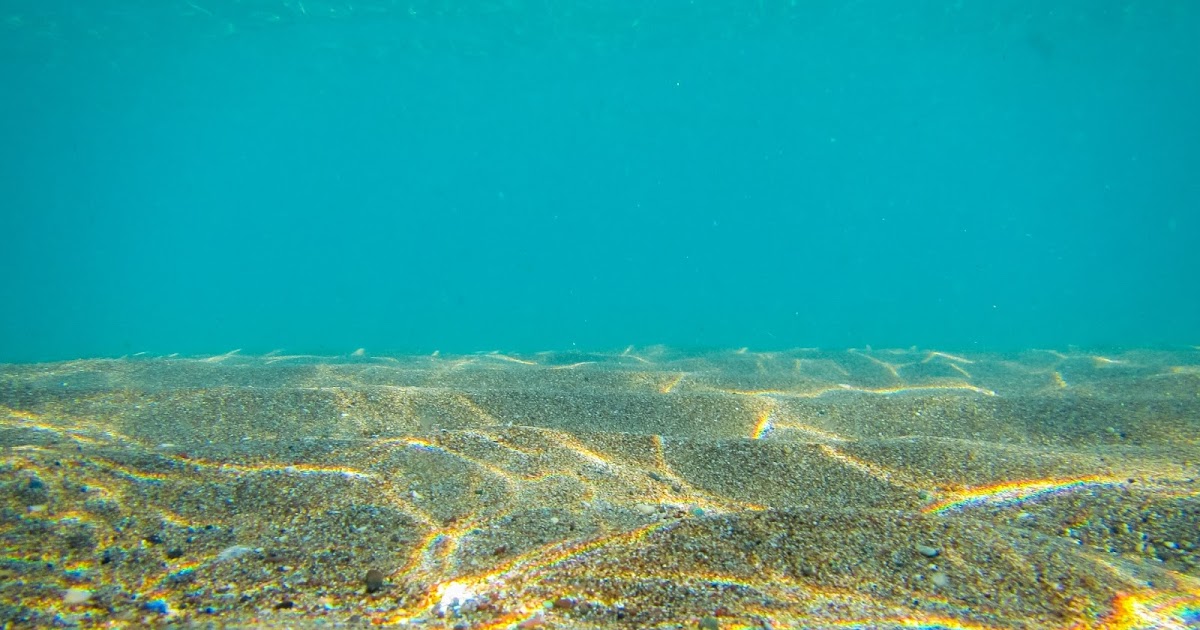 Belajar Geografi: Morfologi Laut dan Dasar Laut