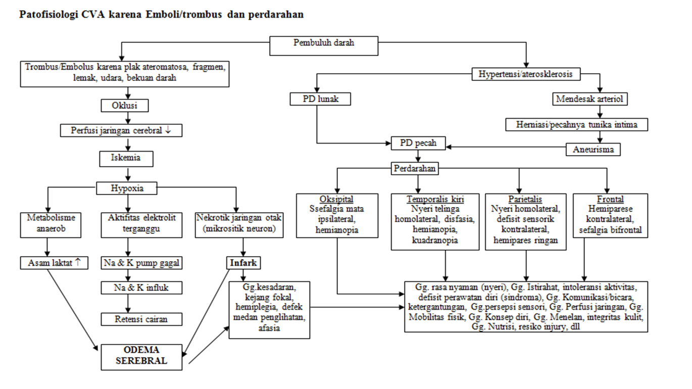 belajar asuhan keperawatan: ASUHAN KEPERAWATAN PADA KASUS CEREBRO ...