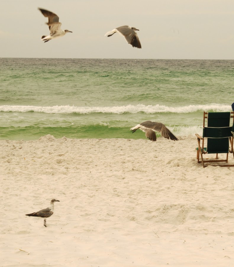 Sotto Il Monte Vineyards: ALYS BEACH ON THE EMERALD COAST