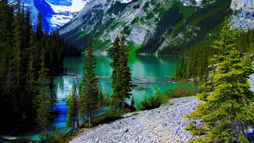 Stunning Nature Wallpapers Showcase - Angelic Hugs