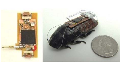 The Paranormalistics: Cyborg Cockroaches Could Save Your Life