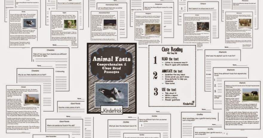 Reading Comprehension and Close Read Passages | KinderIrick