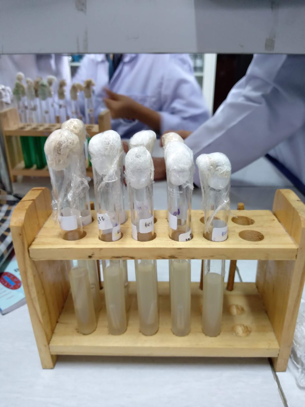 UJI CEMARAN MIKROBA METODE MPN