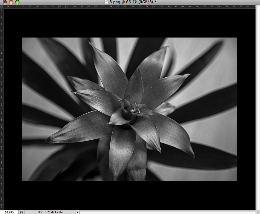 Experimental Techniques in Photography: Digital Solarisation