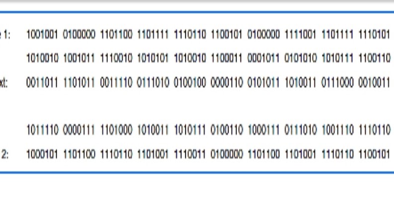 BCA Practical Slips Solution: Network Security Notes