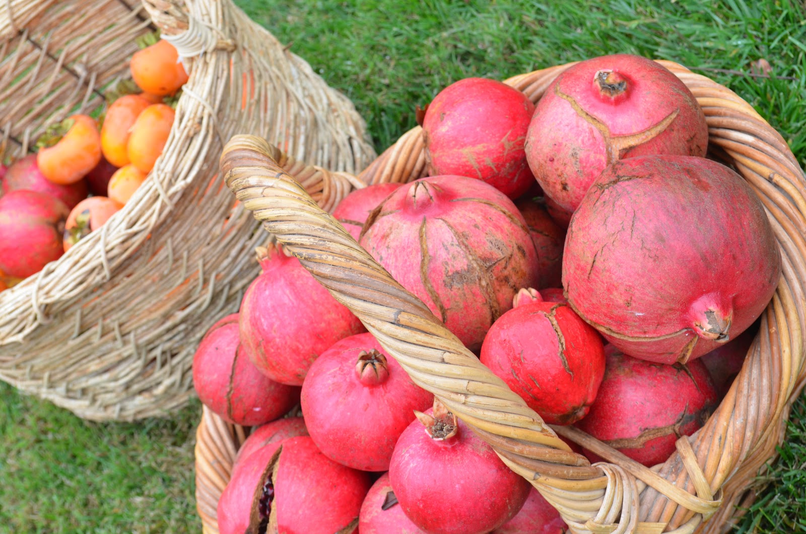 Entertaining From an Ethnic Indian Kitchen: Last Fall Harvest at the ...
