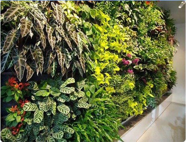 ΤΑΡΑΤΣΟΚΗΠΟΣ...Ο ΚΗΠΟΣ ΤΩΝ ΠΟΛΕΩΝ: Πράσινος τοίχος η κάθετος κήπος ...