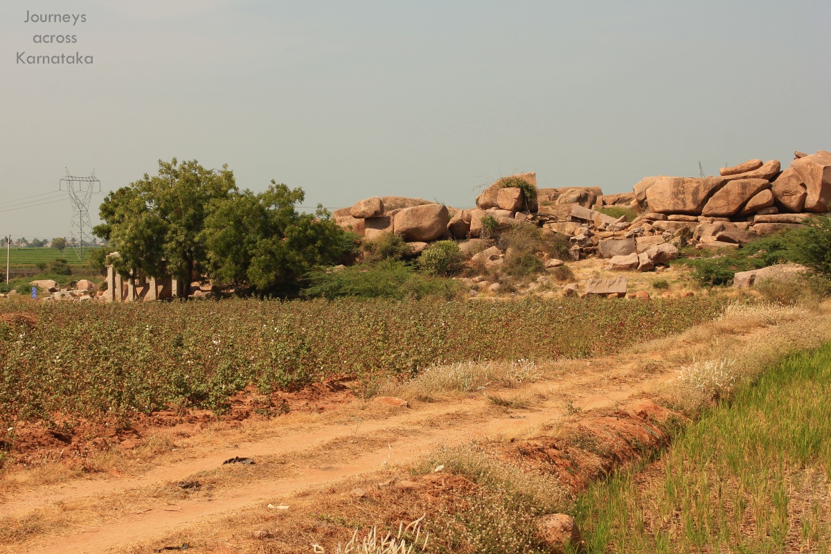 Journeys across Karnataka: Ashokan minor rock edict of Udegola