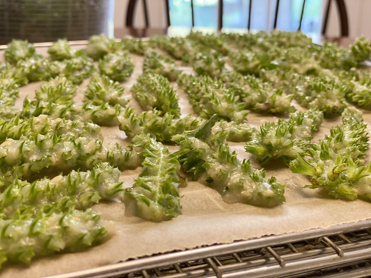 깨송이 부각 쉽고 간단하게 만들기 - How to make Bugak