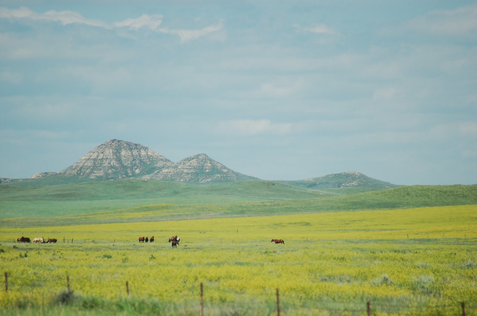 Reflections Two - America From Our RV Door: Colstrip, MT