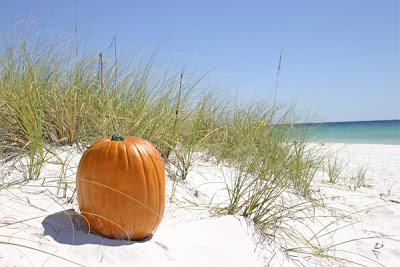 Something wicKED this way comes....: Pumpkins on Vacation.