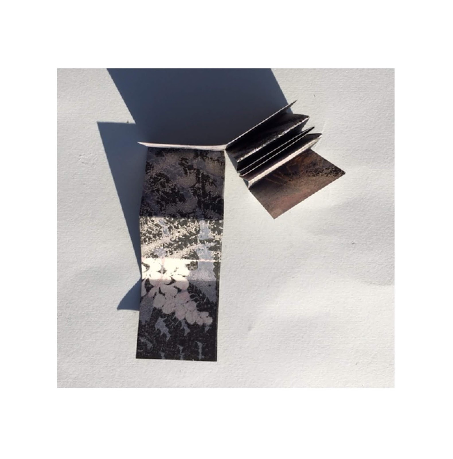 Stef Mitchell - Field and Hedgerow